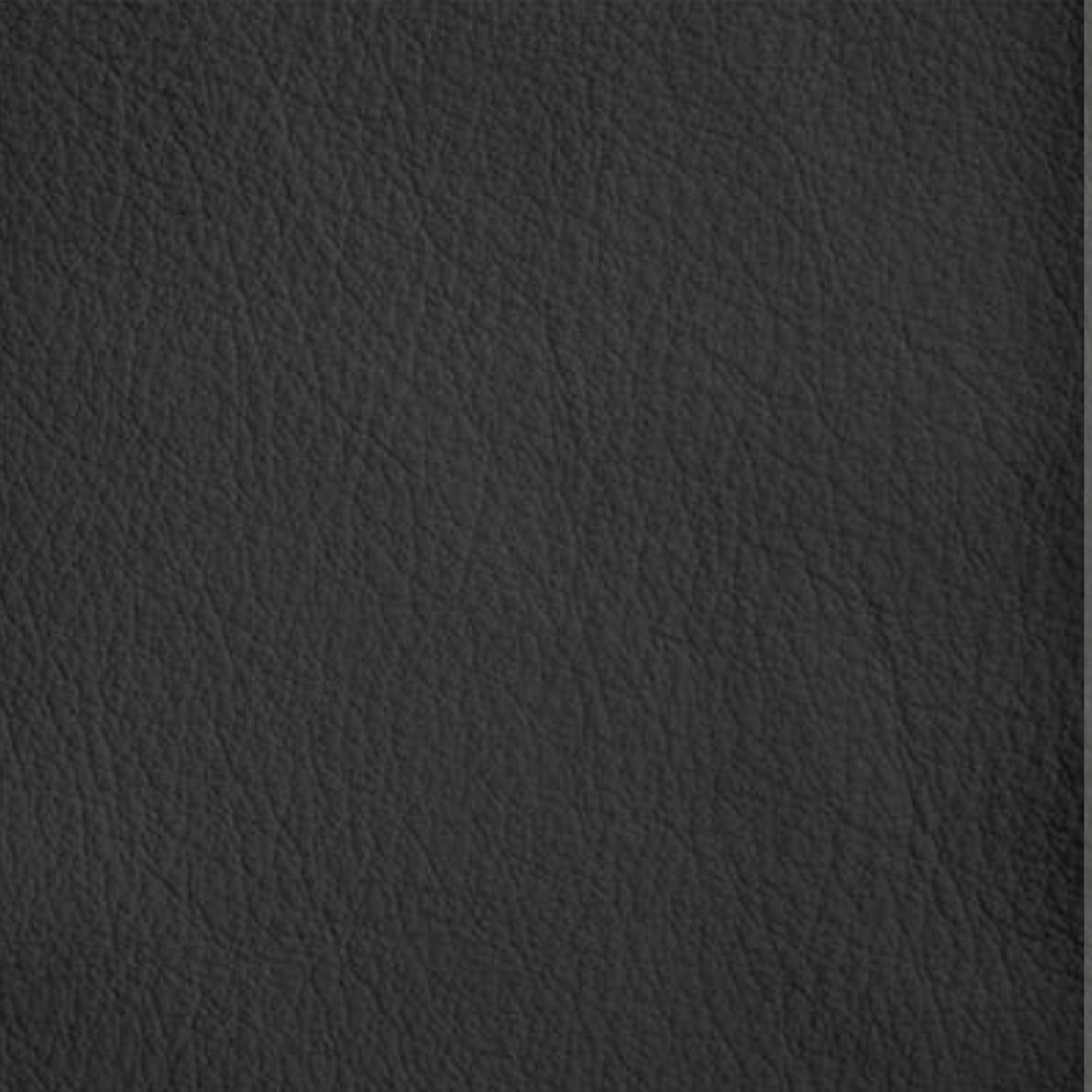 Black /Leather Sample – Mirror Trim