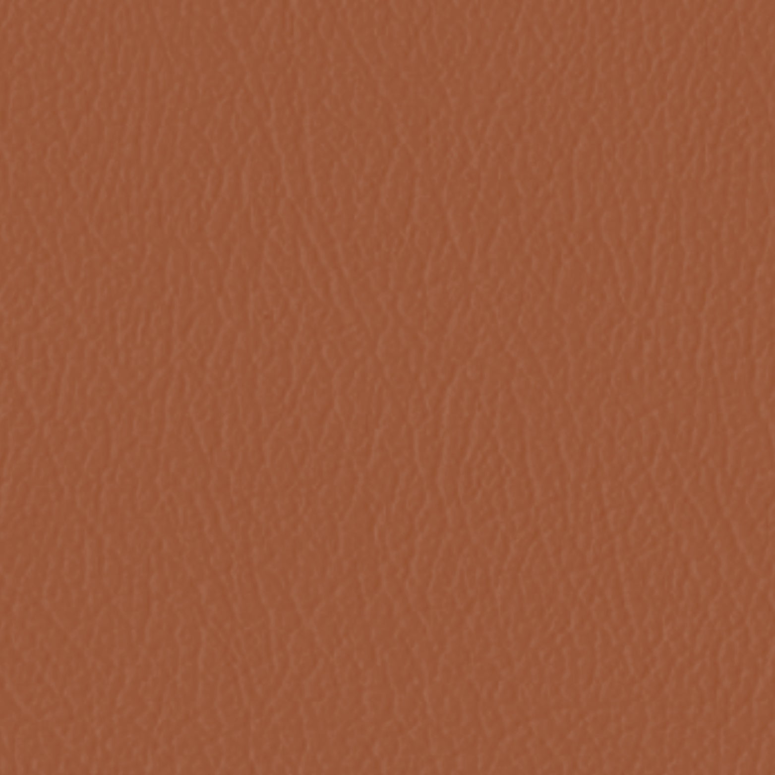 Autumn Leaf / Vinyl Sample – Mirror Trim