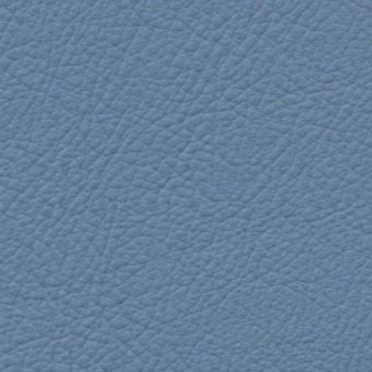 Powder Blue /Leather Sample – Mirror Trim